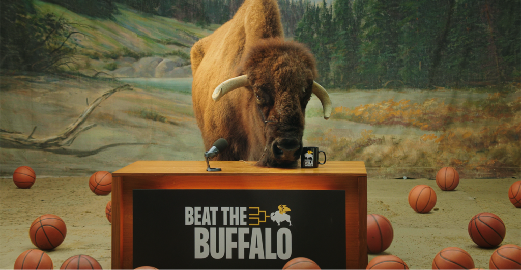 Buffalo Wild Wings Has a Real Buffalo Pick a Bracket to Kick Off the ...